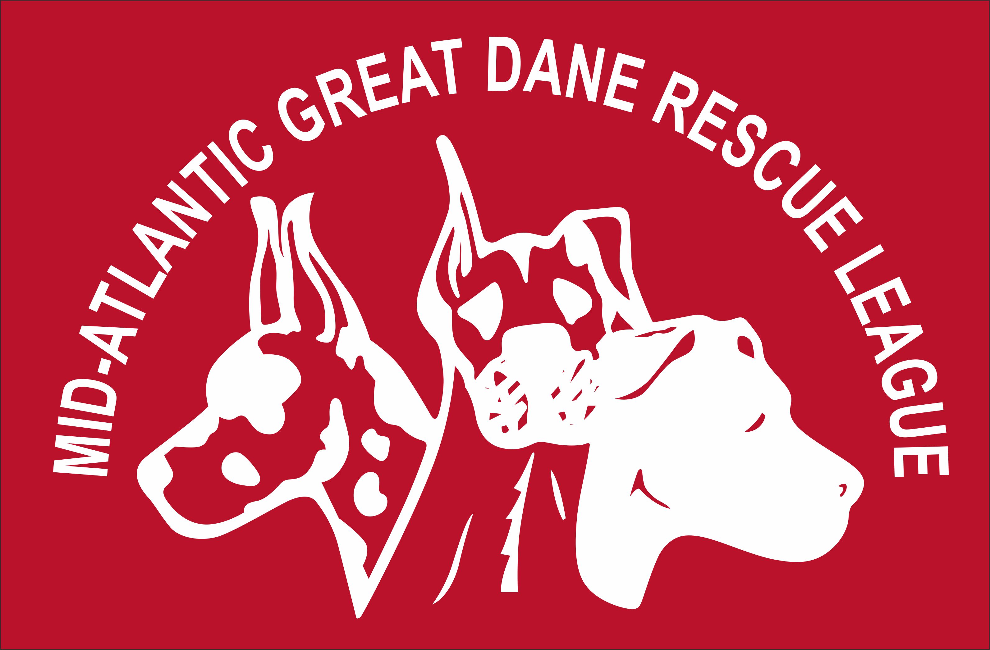 Find Your Favorite Brand